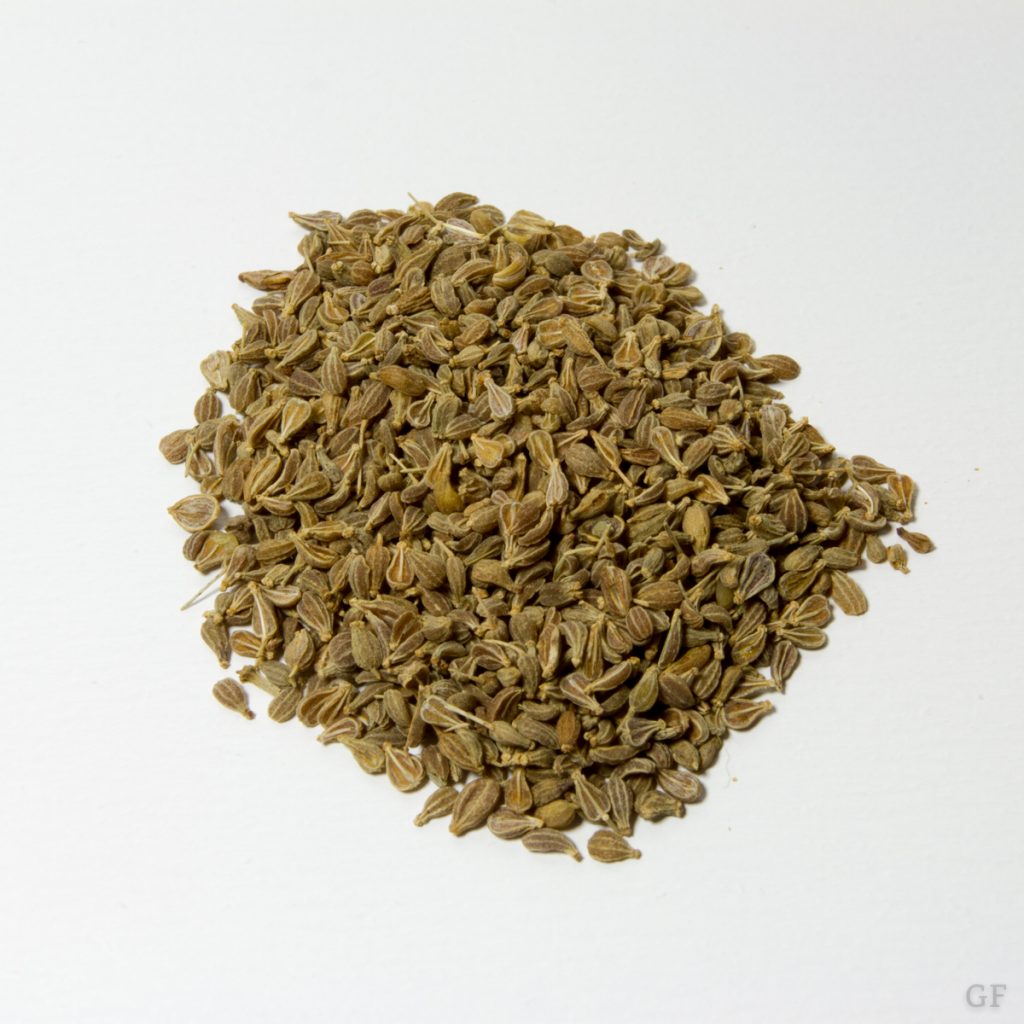 Anis (Pimpinella anisum) – VORSICHT GESUND