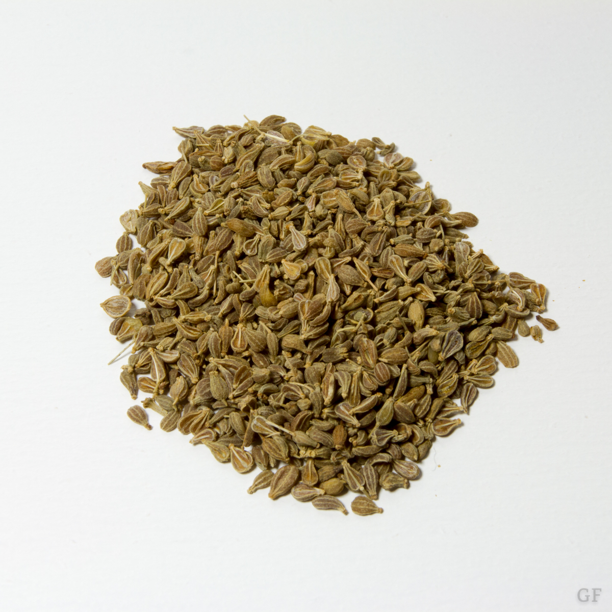 Anis (Pimpinella anisum) – VORSICHT GESUND