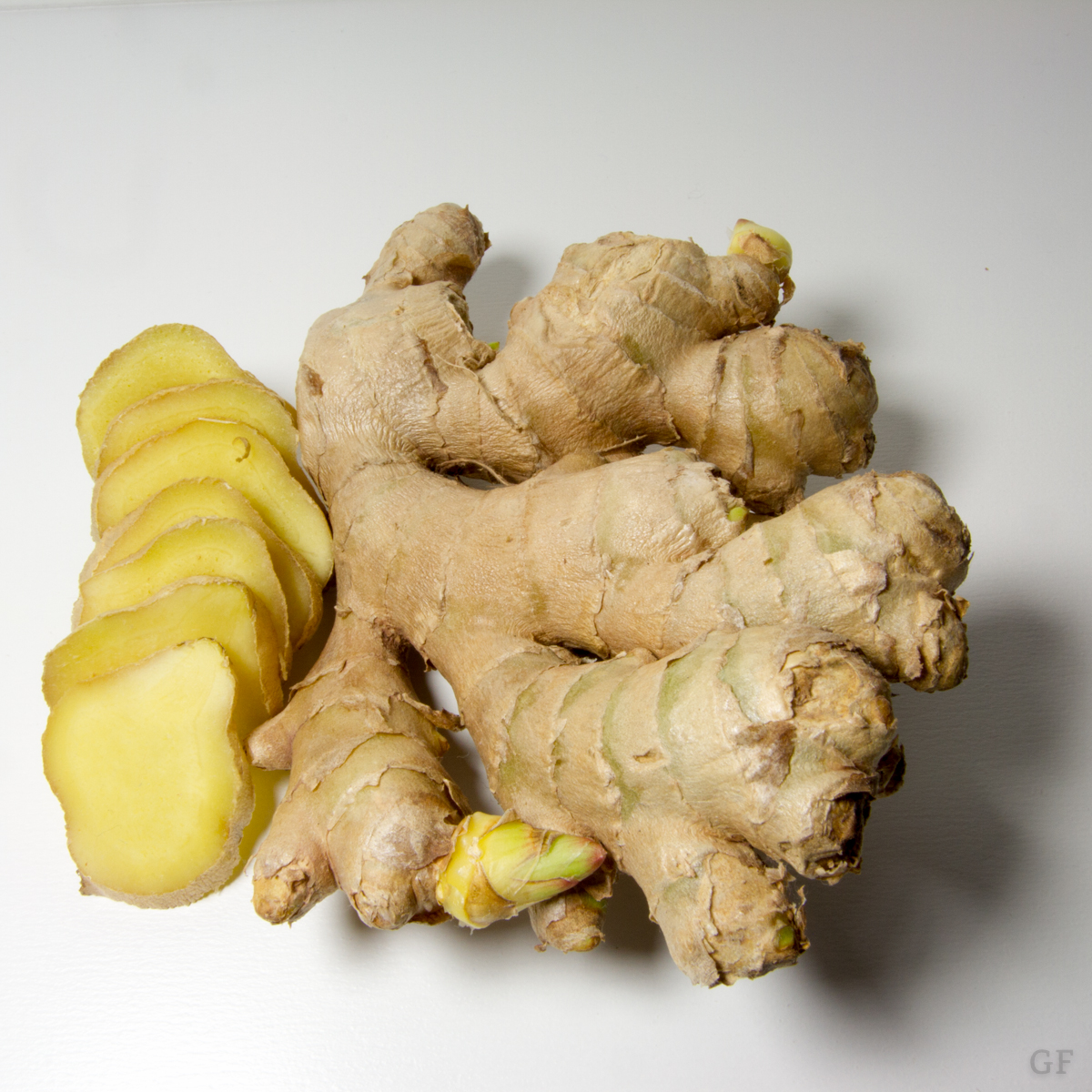 Ingwer (Zingiber officinale) – VORSICHT GESUND